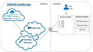 Webinar - Introduction to SAP IAG. How does it differ from SAP GRC ...