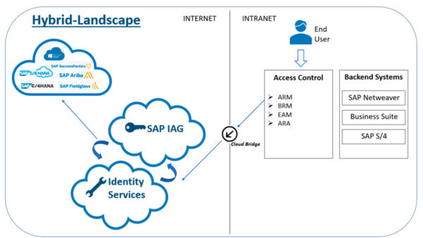 Webinar - Introduction to SAP IAG. How does it differ from SAP GRC ...