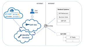 How to Configure IAG Access Analysis Service - Inprosec